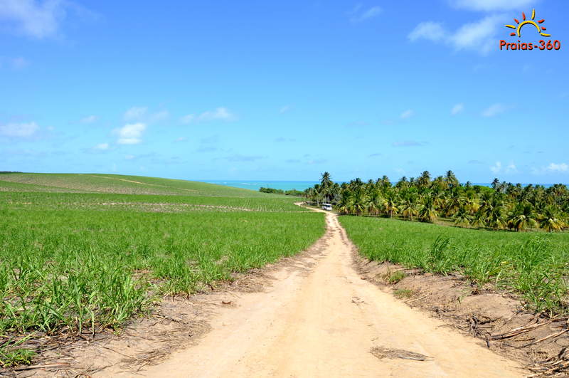 Praia de Carro Quebrado