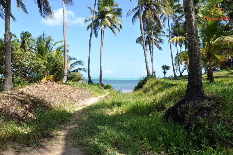 Praia de Carro Quebrado