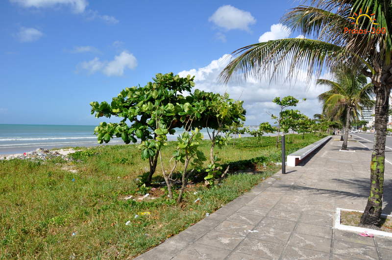 Praia da Avenida
