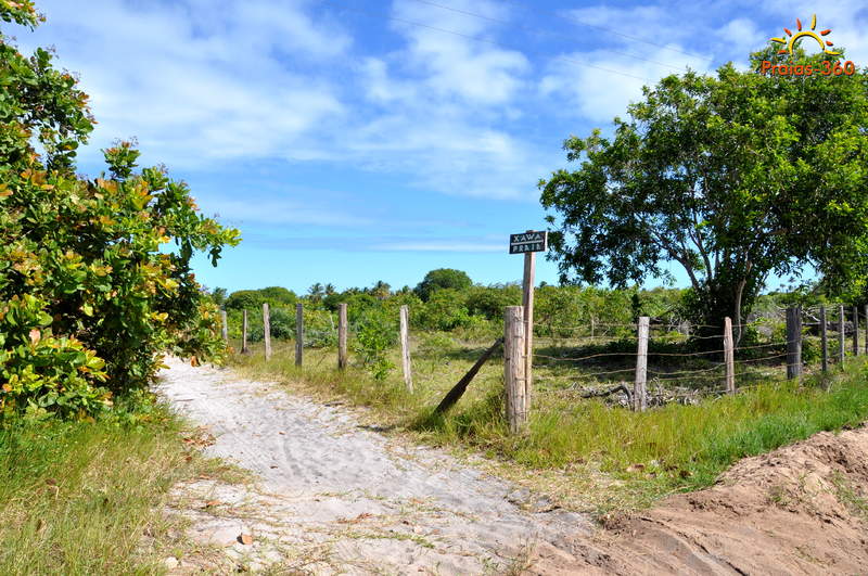 Praia Xawã
