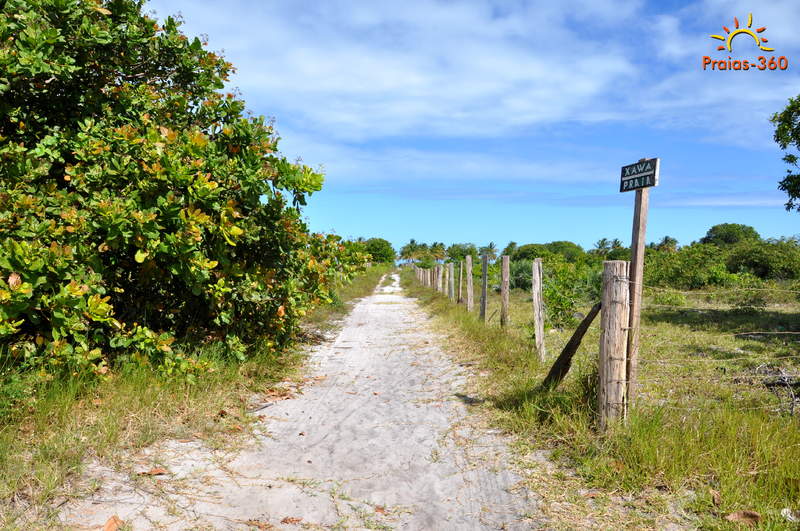 Praia Xawã