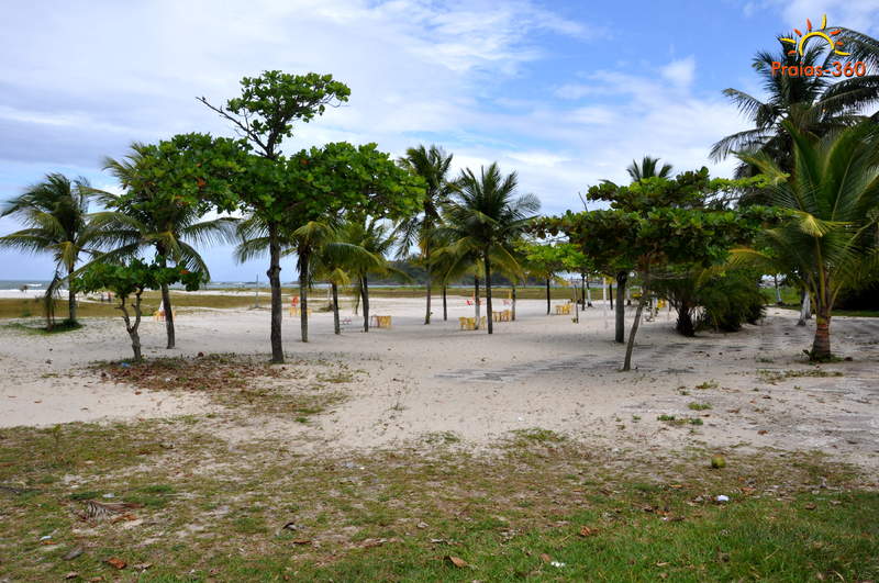 Praia da Avenida