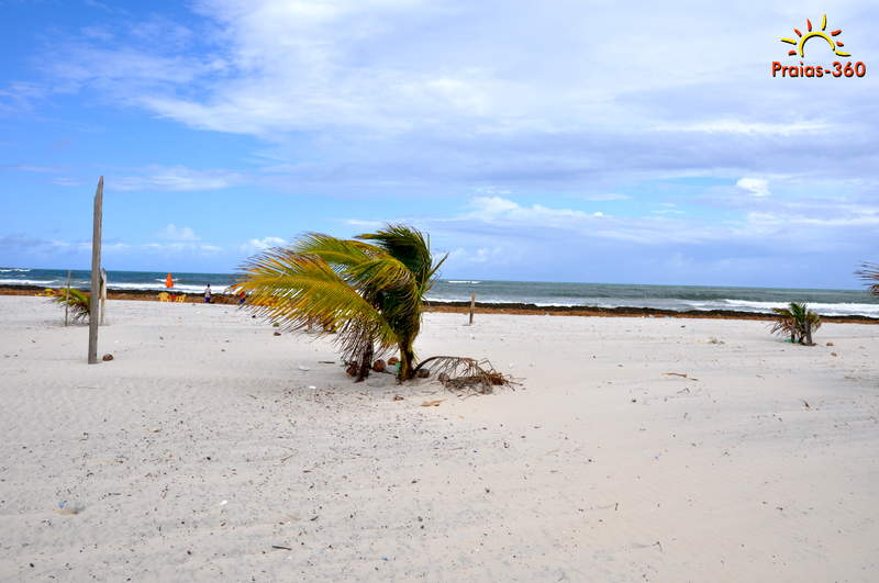 Praia da Avenida