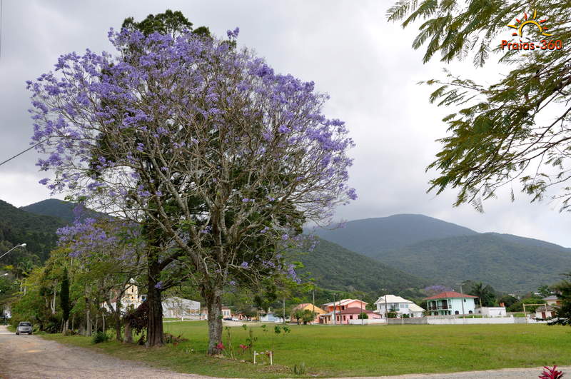 Praia da Enseada do Brito